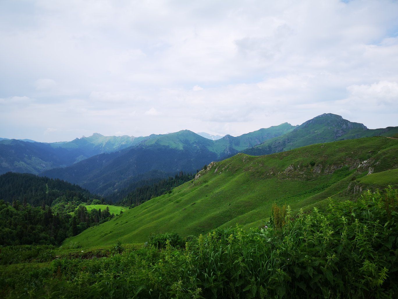 ️Kajetia (Kakheti): Guía definitiva | Viajar a Georgia