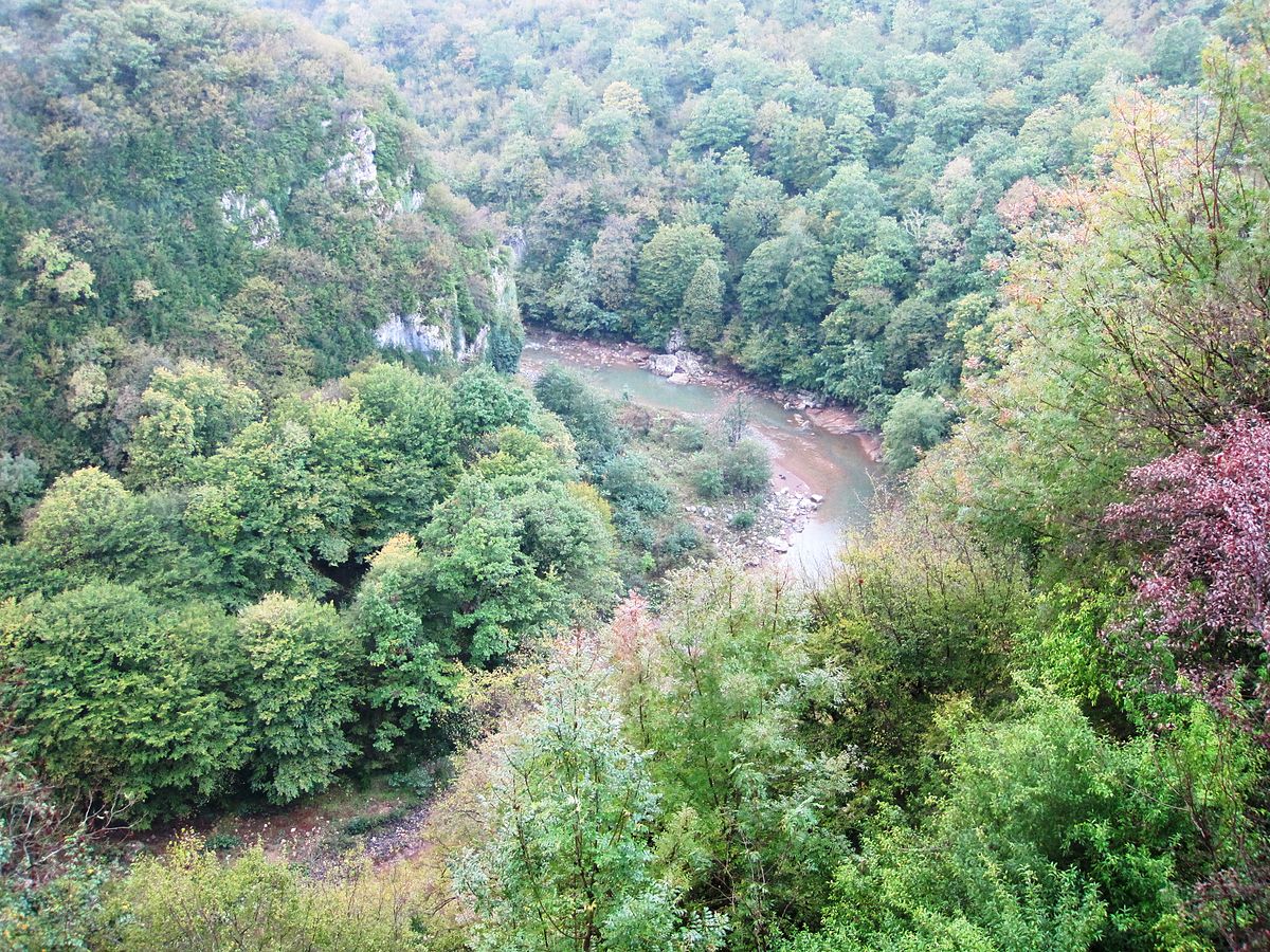 ️Kajetia (Kakheti): Guía definitiva | Viajar a Georgia